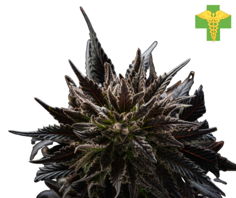 What is Clean Green Certified?